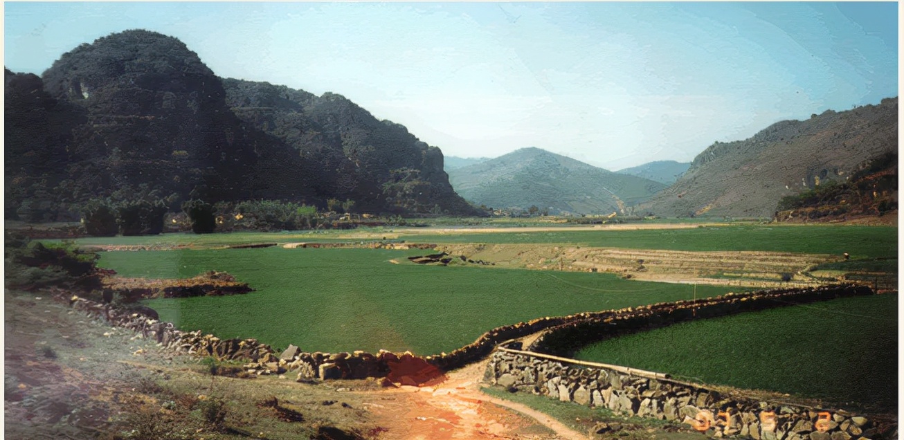 Vietnam's Li Chao chases down the weeds and eradicates the roots. - iNEWS