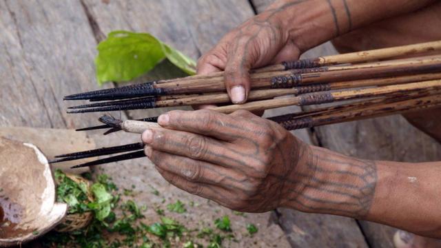 Indispensable tools in war and assassination operations Inventory of ...