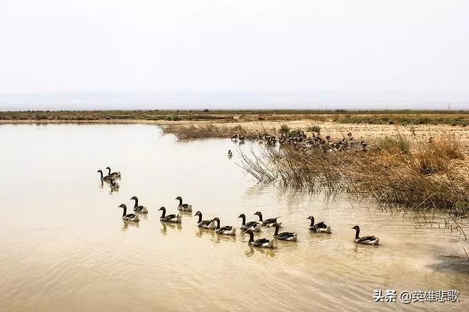 Why is the lowest point of China's landmass at Ayding Lake in Xinjiang ...