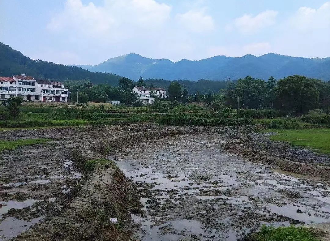 "Dig, dig, dig", Wuxue Xuchong Village came out - iNEWS
