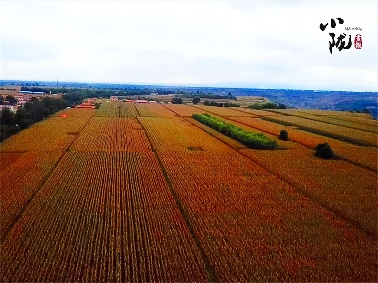 Qingyang Zhenyuan: Picturesque autumn scenery in loess and colorful ...
