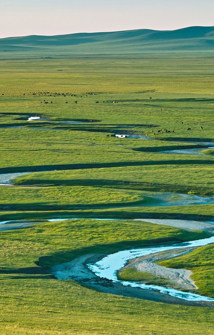 Appreciation of beautiful pictures - beautiful wetland grassland - iNEWS