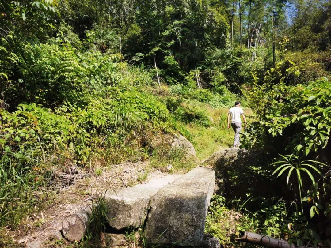 Looking back at Jindong Village for a hundred years, looking up at the ...