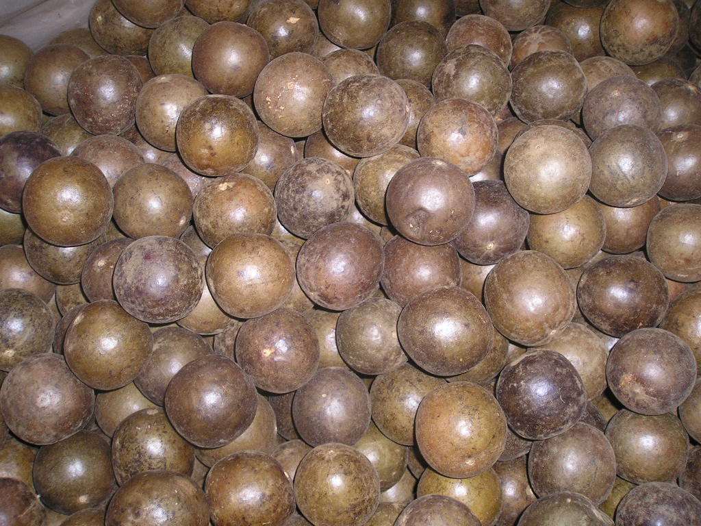 What kind of plant is Luo Han Guo - iNEWS