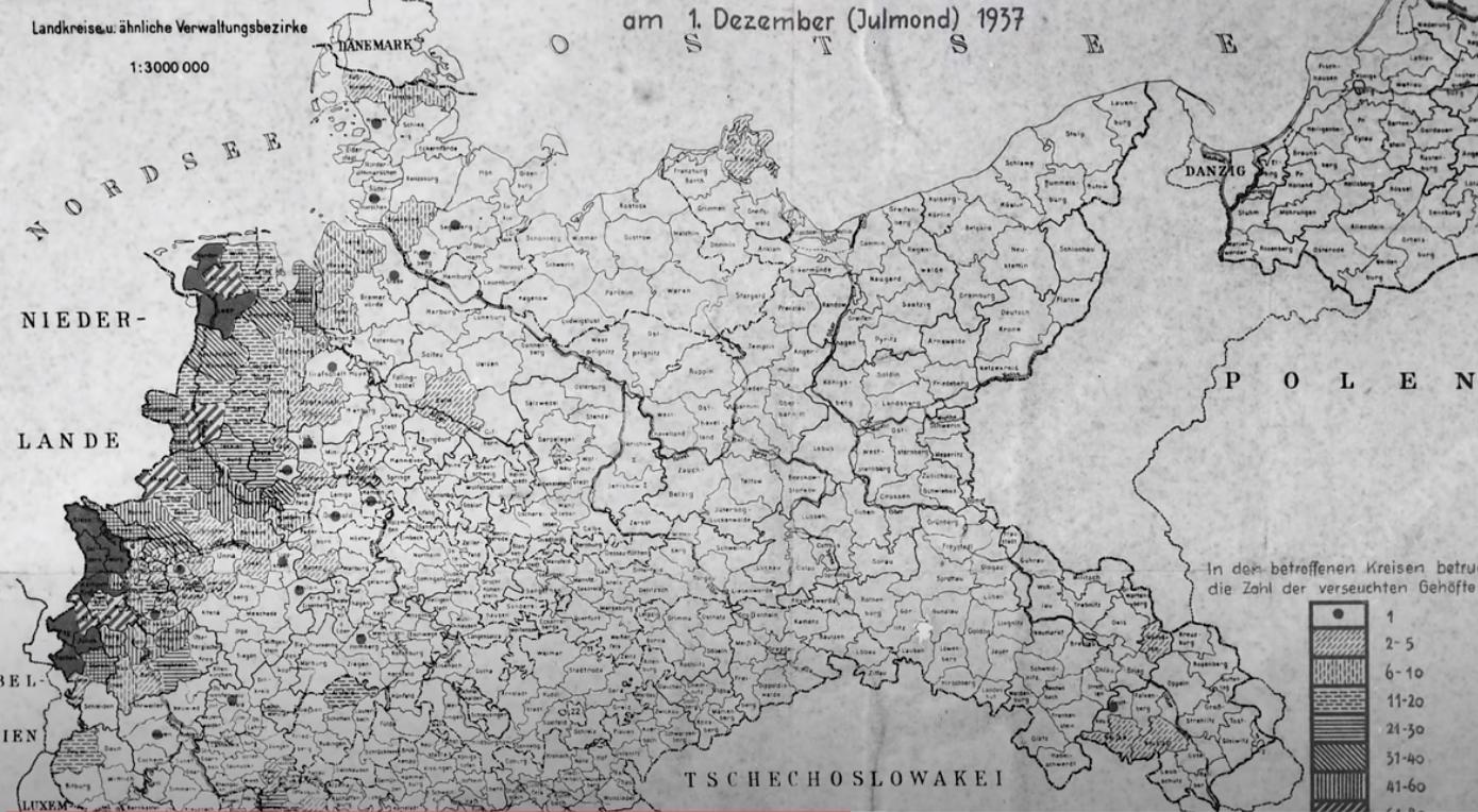 Why does Russia own a small part of "German territory"? - iMedia