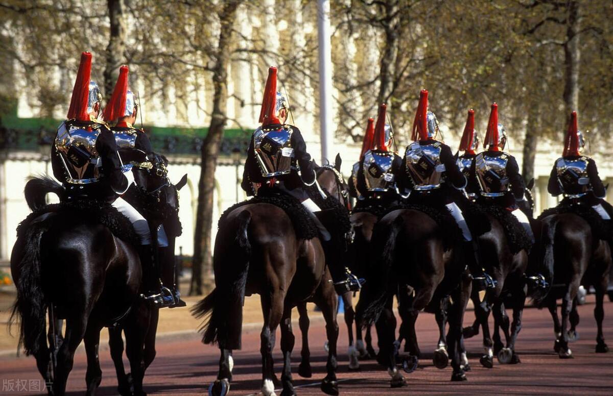 Explore cavalry in ancient warfare - iNEWS