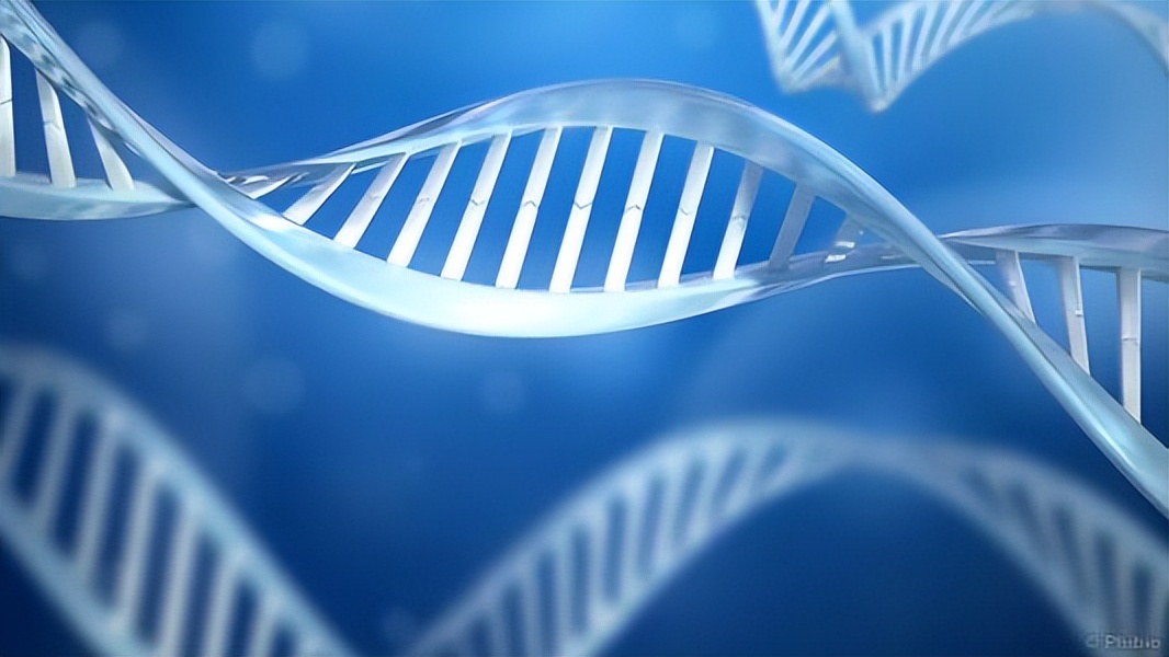 Is there any chance of resurrection after death? It is more difficult ...