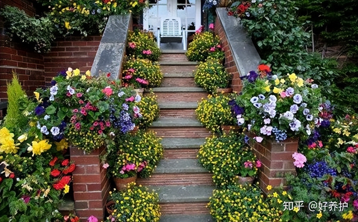 A novice gardener did this, and a month later, the barren yard turned ...
