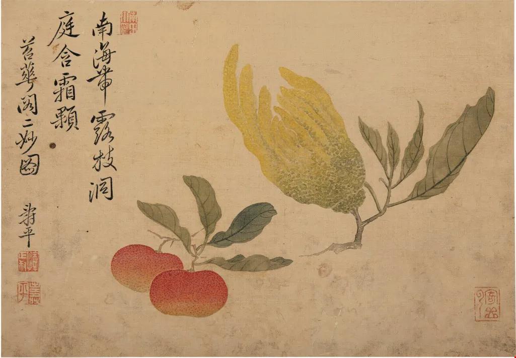 Yun Shouping, the "Crown of a Generation" in the Qing Dynasty, Boneless ...