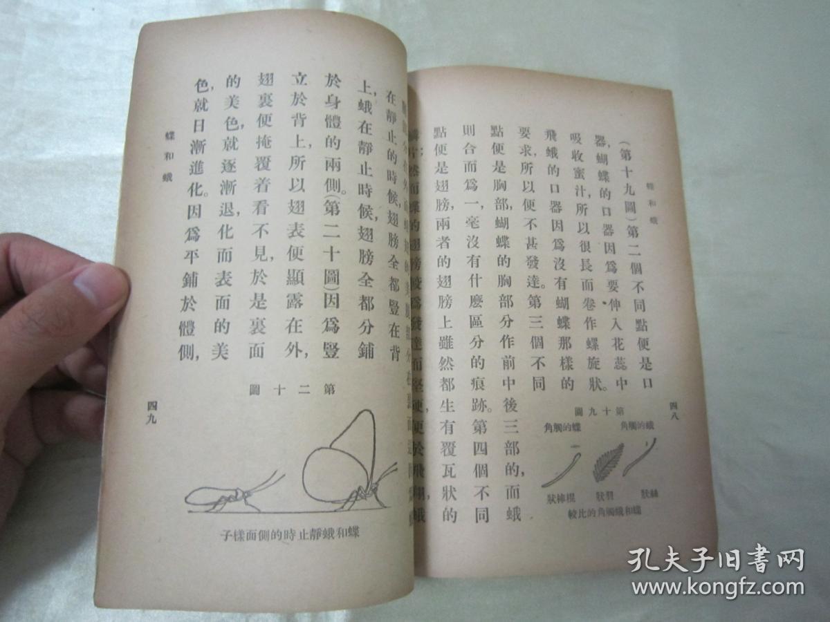 Xie Jin in Feng Hongyan's eyes: My arrival has added warmth to the big ...