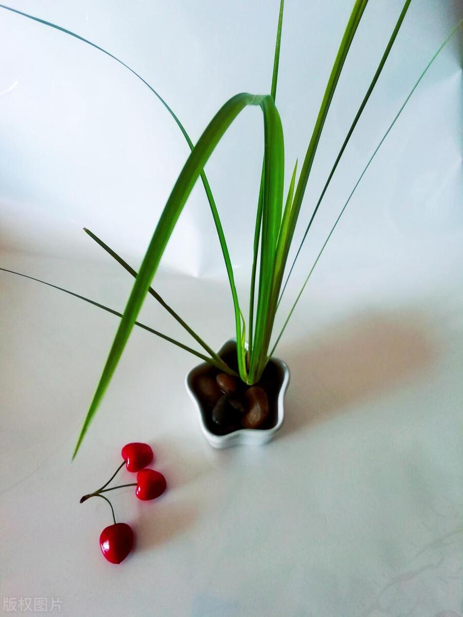 As the saying goes, "Three Friends of the Dragon Boat Festival hang on ...