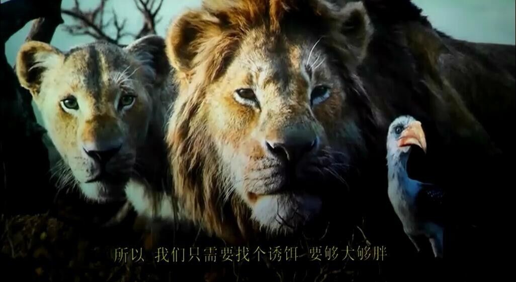 The analysis and key role played by camera position processing on ...