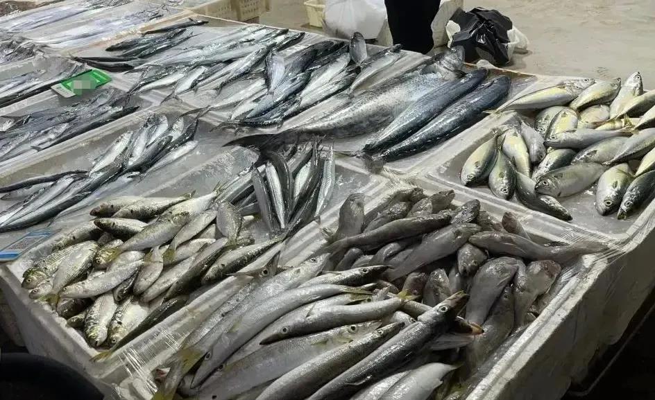 Yantai people's favorite fish, the top three must be them - iNEWS