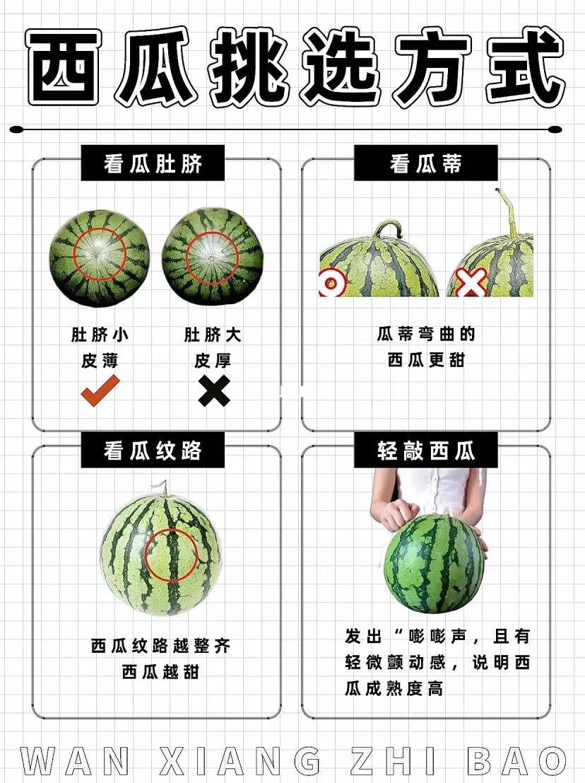 Types of watermelon, origin and characteristics - iNEWS