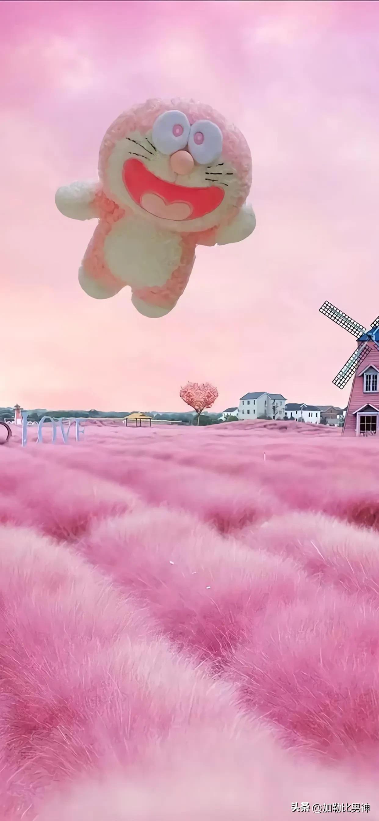 From tomorrow onwards, go out and see happiness, your career will be ...