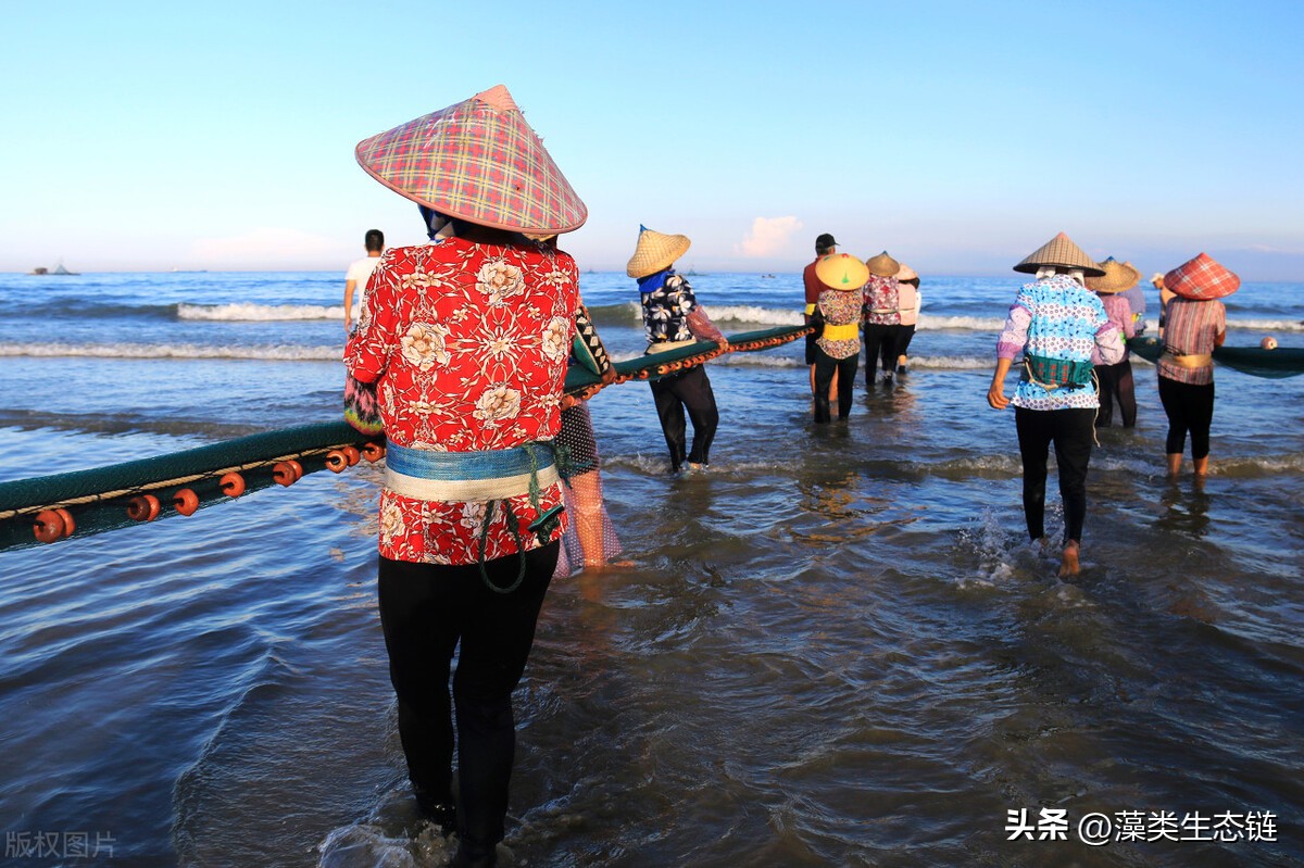 受保護的人工繁殖的海洋生物，用於河流棲息地的排放 - 頭條匯