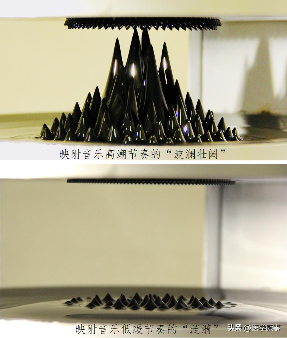 "Venom" dancer - nano magnetic fluid smart materials and structures - iNEWS