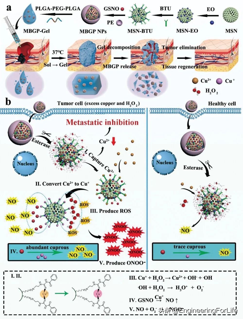 "AFM": Smart nanocomposite hydrogel for malignant melanoma! - iNEWS