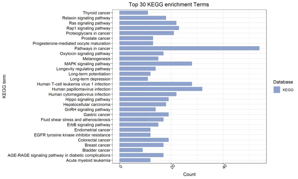 Tag-based protein quantification techniques - iTRAQ, TMT - iNEWS