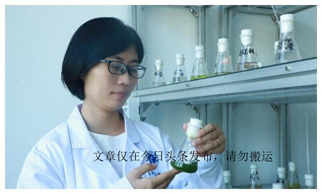Microalgae, the invisible power: Dr. Zhao Lu's scientific research path ...