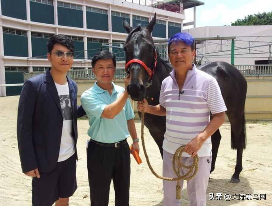 Celebrity Chen Baixiang loves horses like an idiot: the team united ...