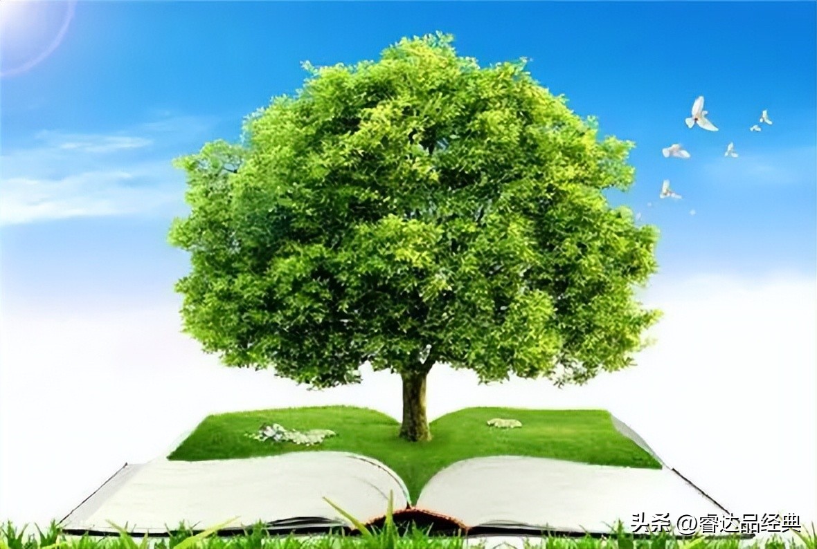 Emphasis on despising roots, quietness is the king of impetuosity, the ...