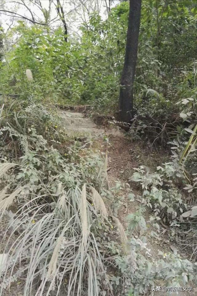 Ghost Gate Pass—Experience China's Famous Pass - iNEWS