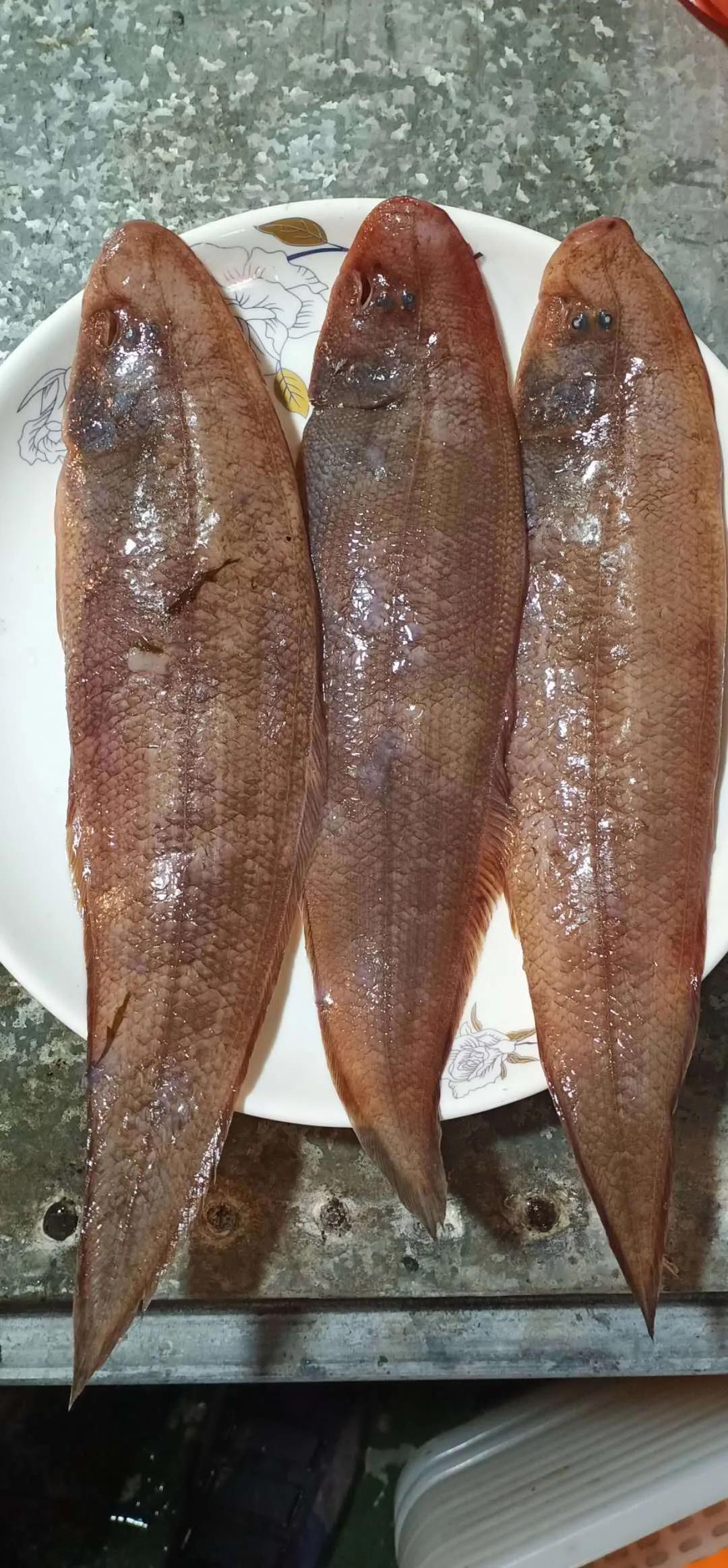 Top 10 Tastiest Sea Fish - iMedia