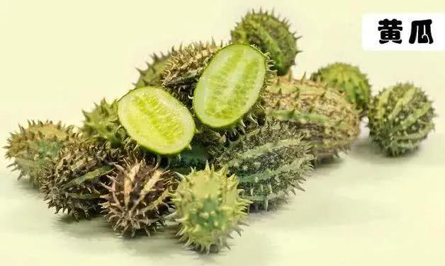 What did ancient fruit look like? Let's explore the past and present of ...