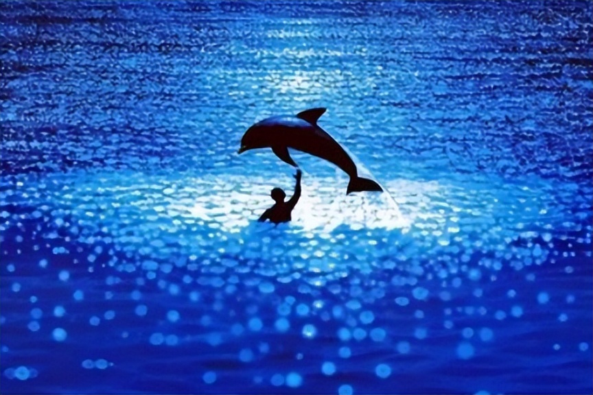 "Deep Blue" shows the impact of human activities on the natural ...