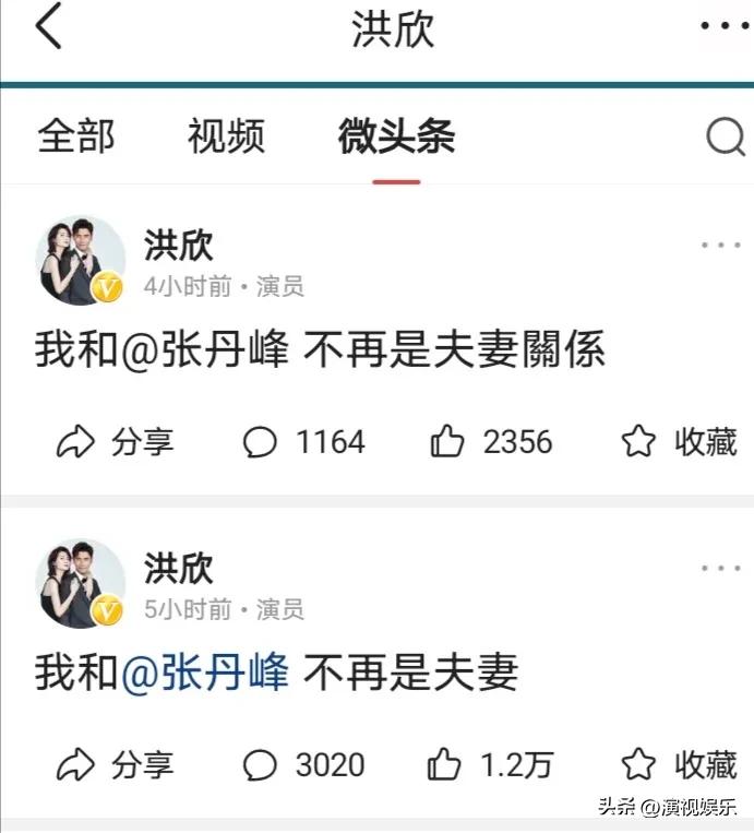 Hong Xin divorced Zhang Danfeng - iMedia