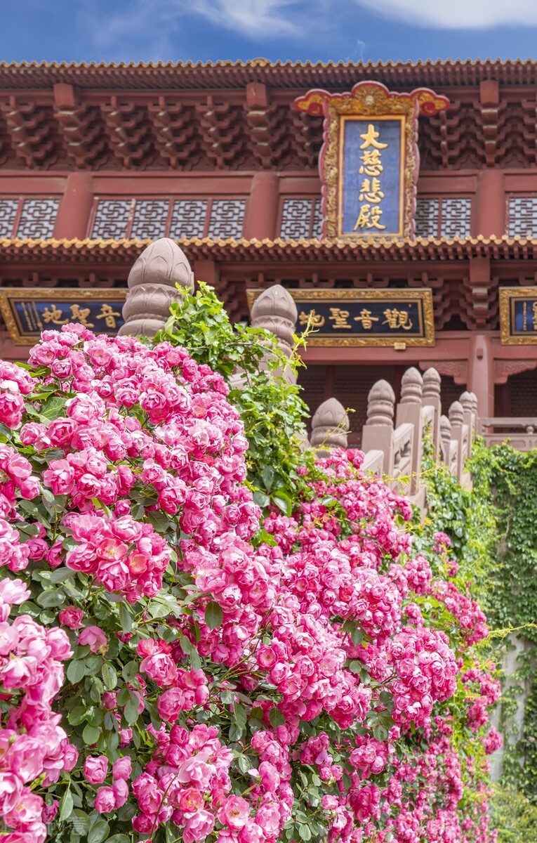 15 cold knowledge of Pingdingshan, why is the landmark of Pingdingshan ...