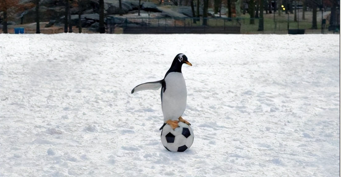 The Movie "Mr. Pope's Penguin": Outstanding Performance of Story ...