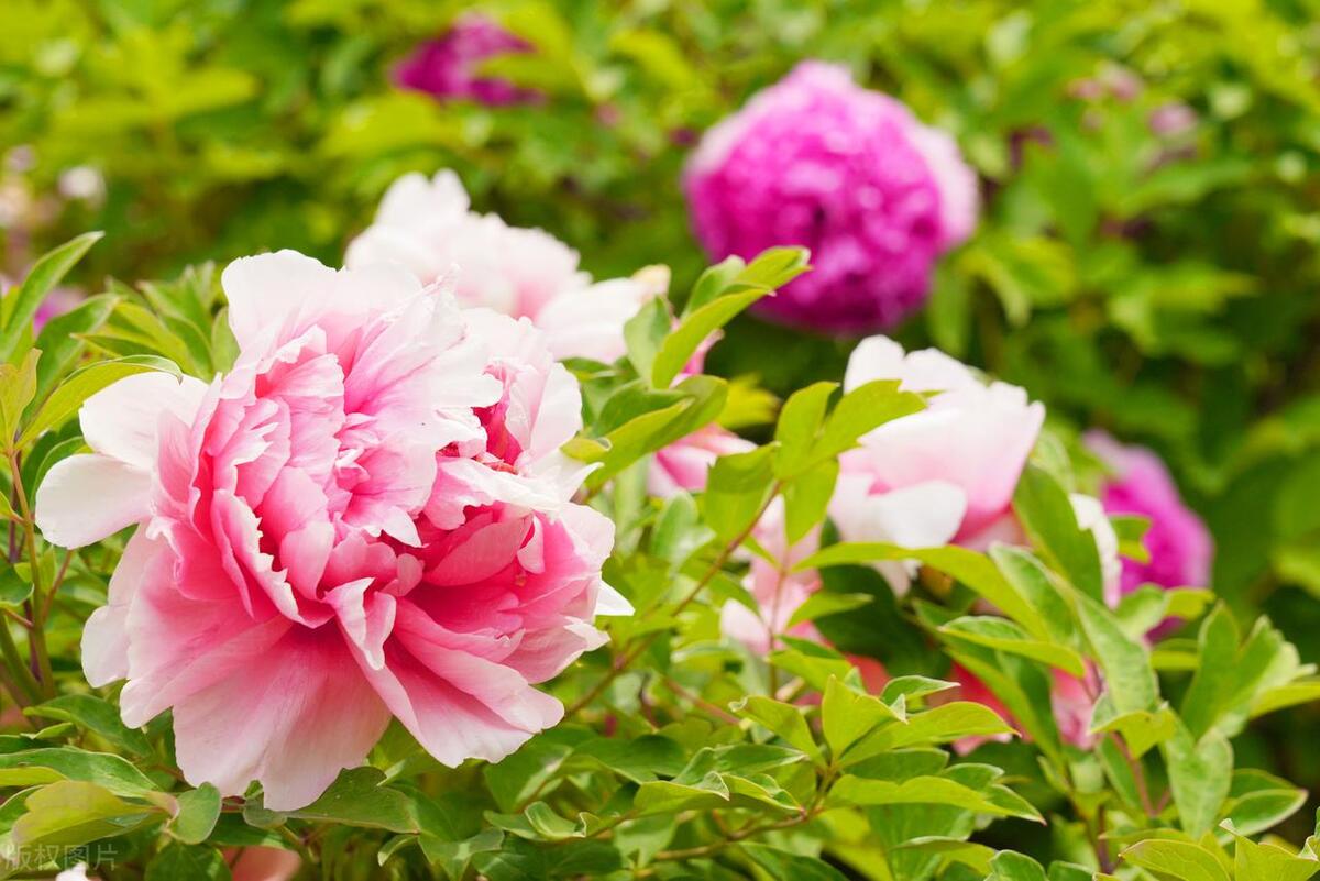 "Being Confused" Is a Smart Strategy - iMedia