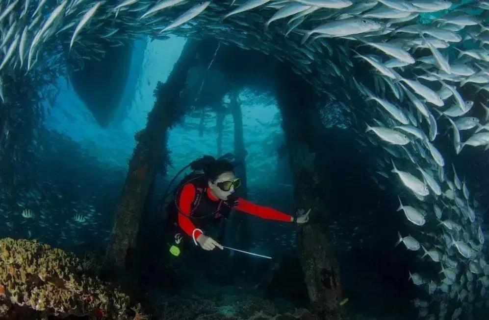 Love the sea, dance with fish, can you accept ashes mixed in concrete ...