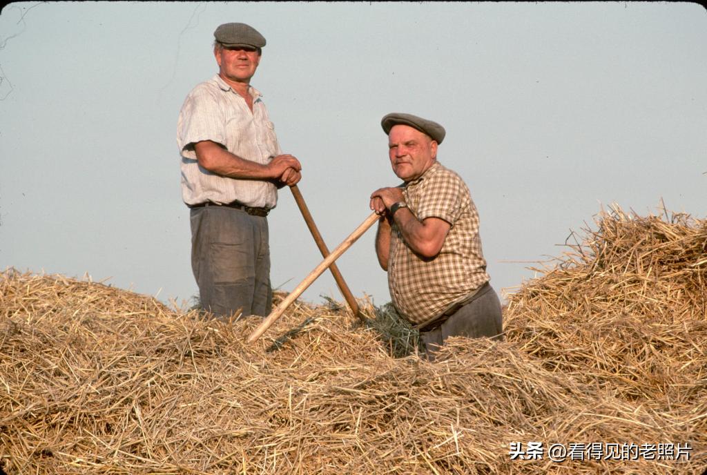 Old photo 1991 Ukrainian farmer working hard on a state farm in Ukraine ...