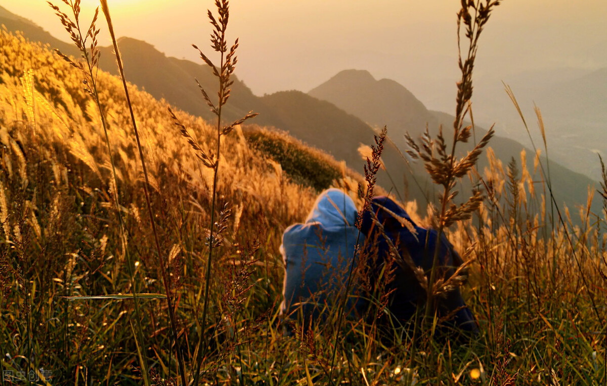How beautiful is "To the Oak" by Shu Ting - iNEWS