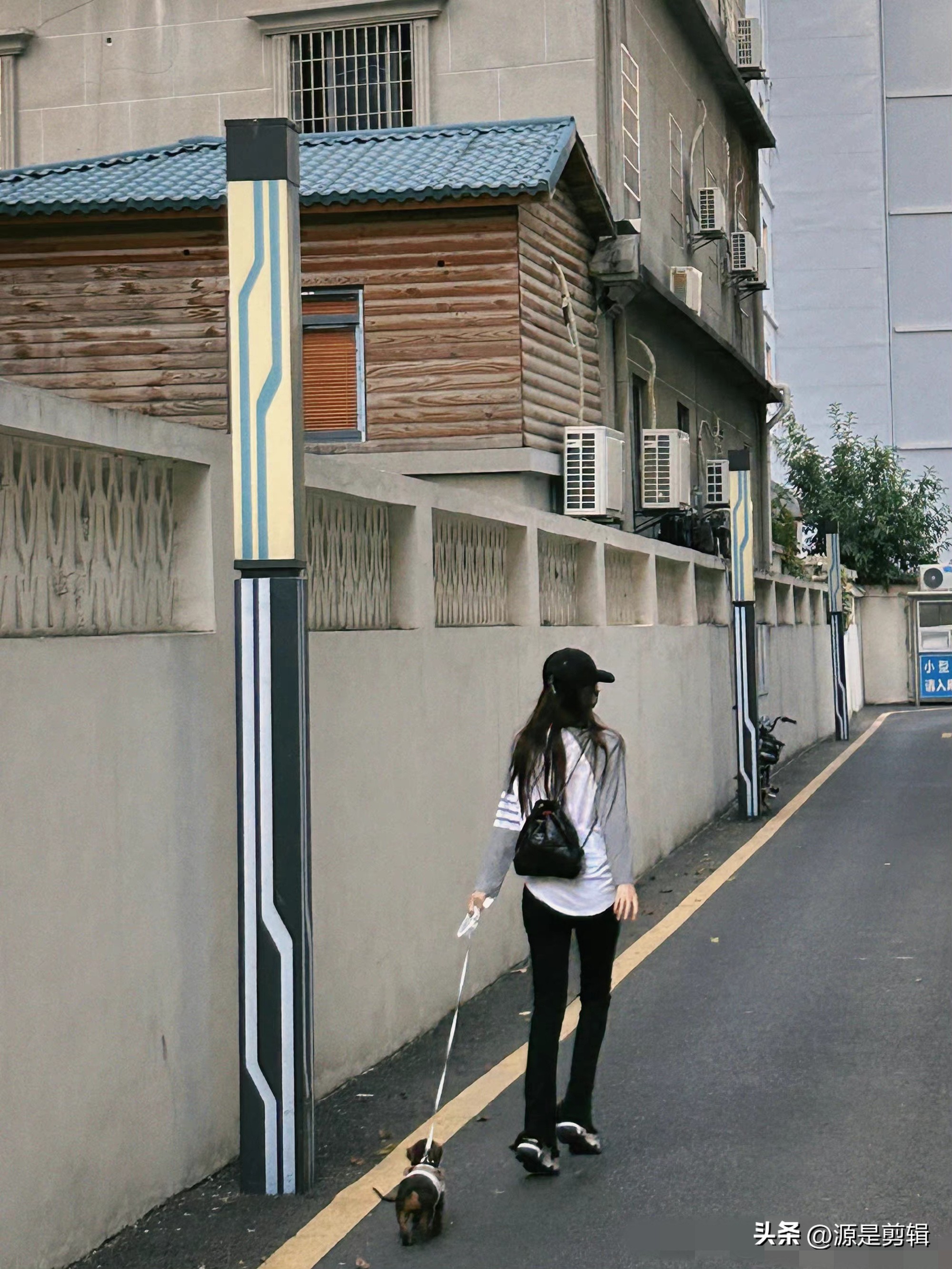 Appreciation of pure and beautiful photos of Zhao Lusi walking the dog ...