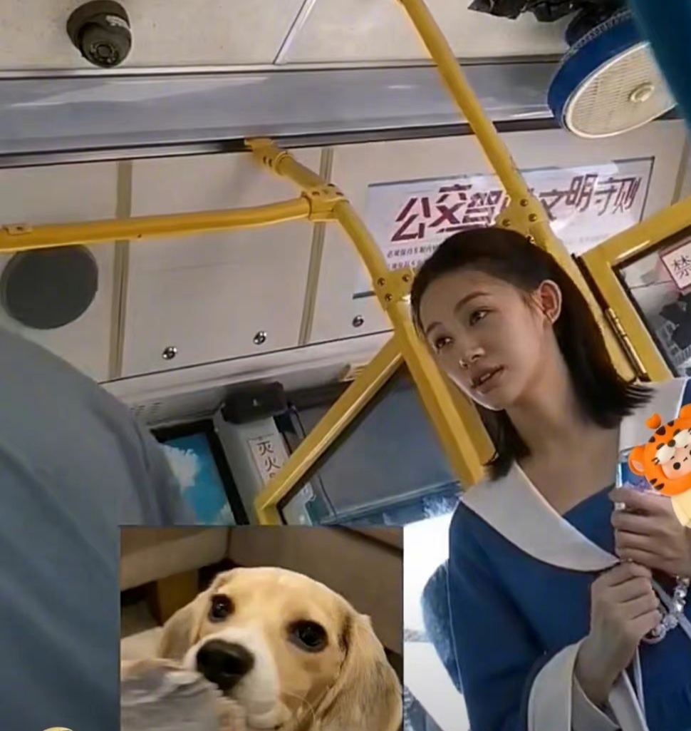 "The Beginning" Wang Mengmeng's appearance is exposed, she looks like Aunt Guo, and she has been ...