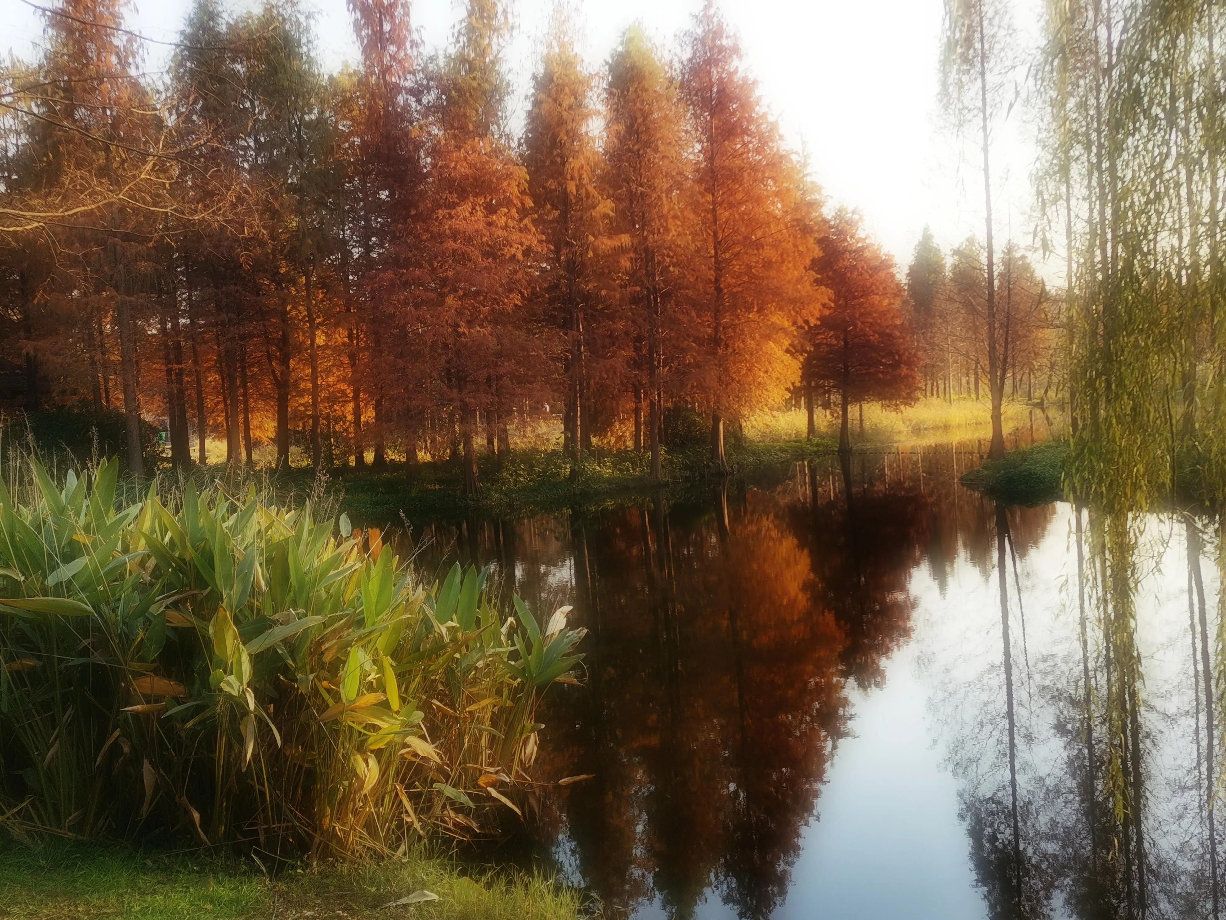 Enjoy the warm sun in winter in Qingxi Country Park - iNEWS