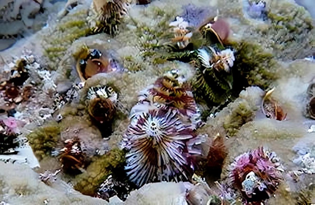 Pompeii worm, the most heat-resistant animal on earth, uses volcanoes ...