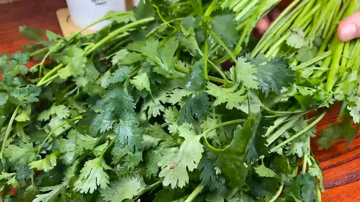 Spinach and leek stand aside, it is the "king of spring vegetables ...