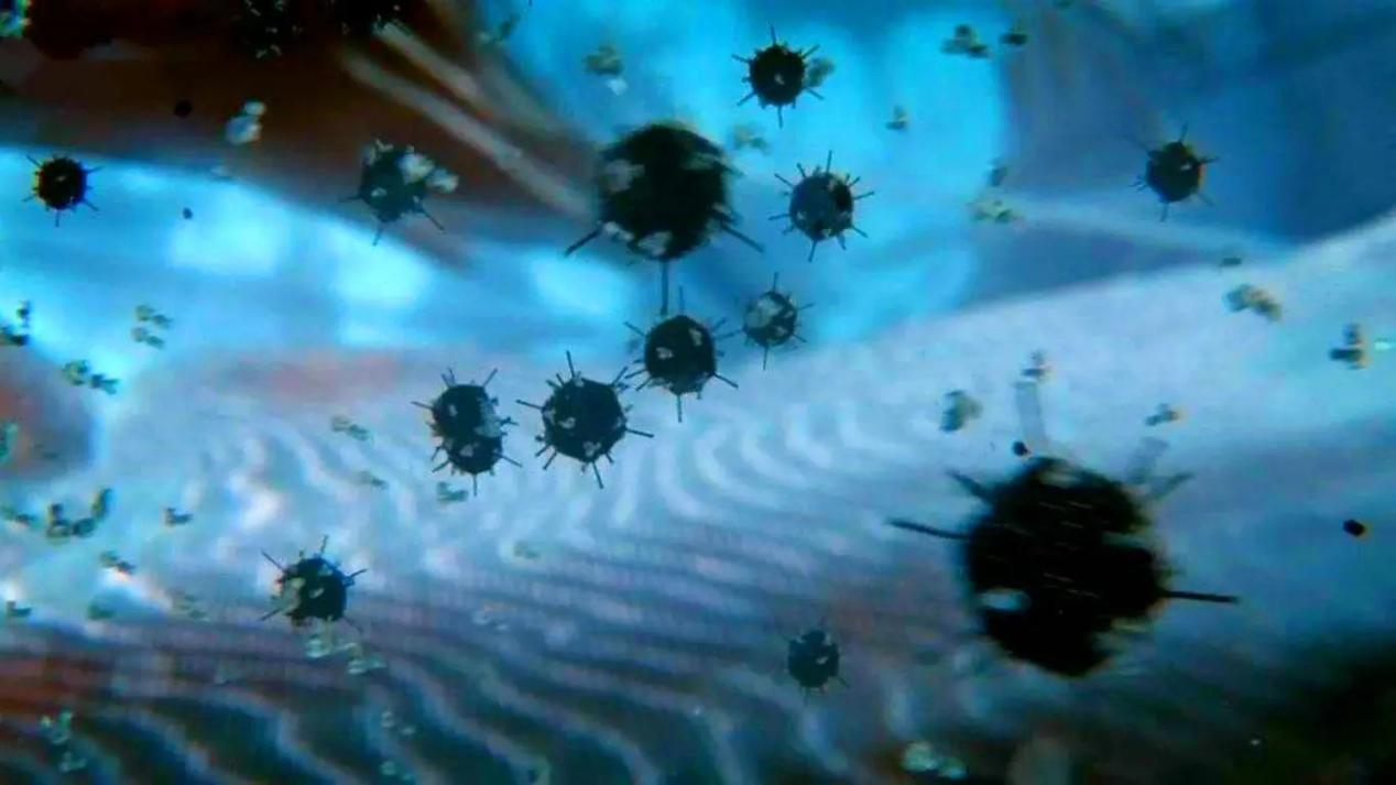 For the first time, a creature that eats viruses has been discovered ...