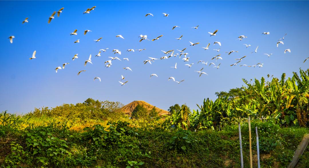 Travel on a staggered peak, bid farewell to crowdedness, and enjoy the ...