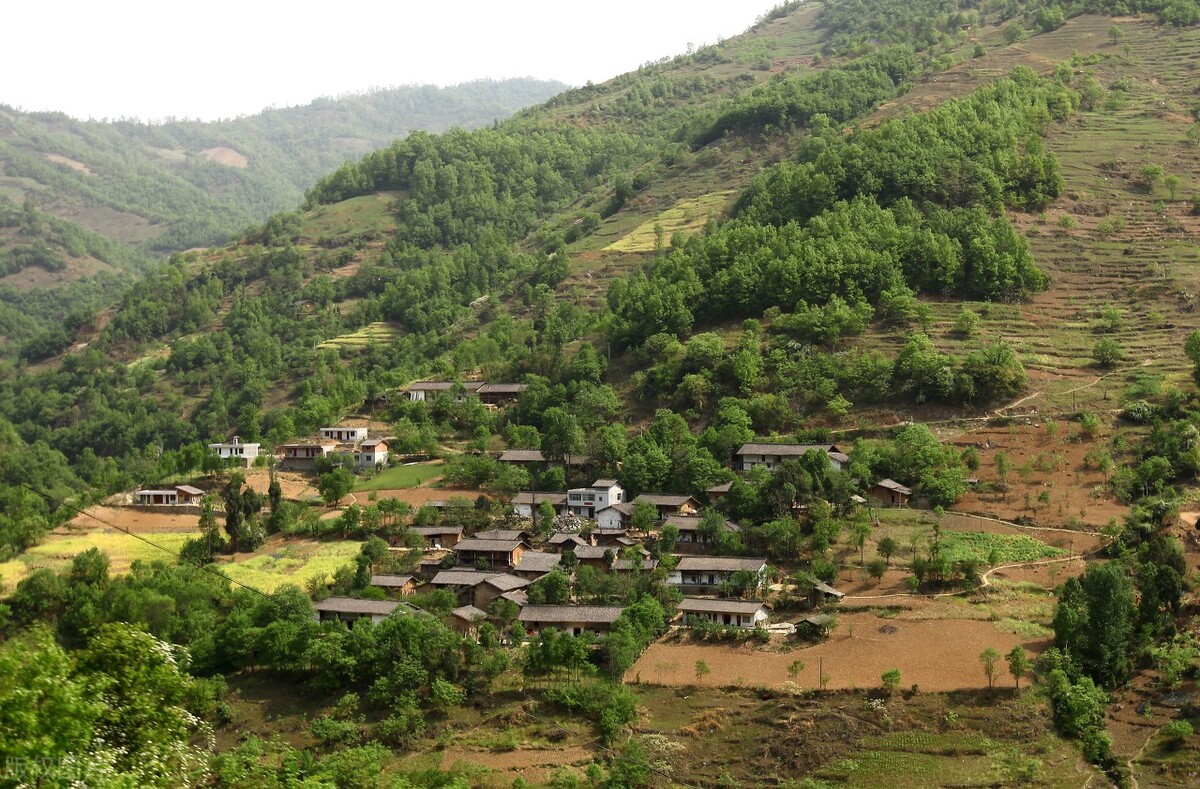 "Longnan Fu": I am the only one in Longnan, Longshang Jiangnan ...