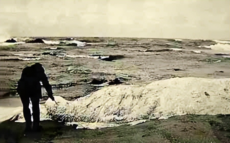 Uncover the true face of South African sea monsters - iNEWS