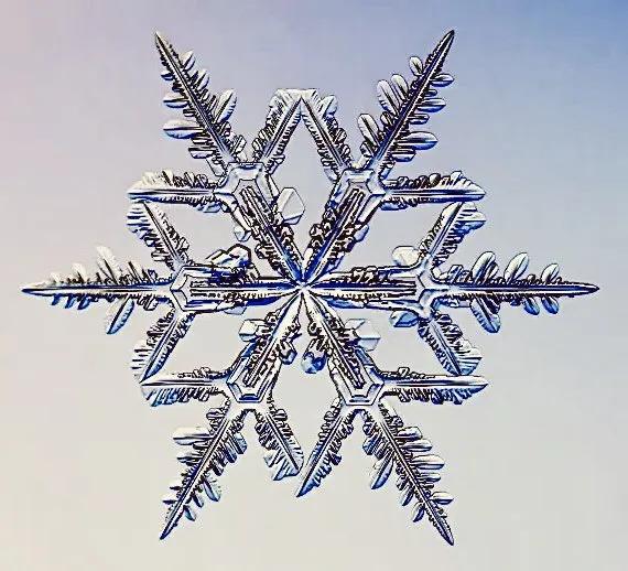 Tsk amazing!Snowflakes under the microscope - iNEWS