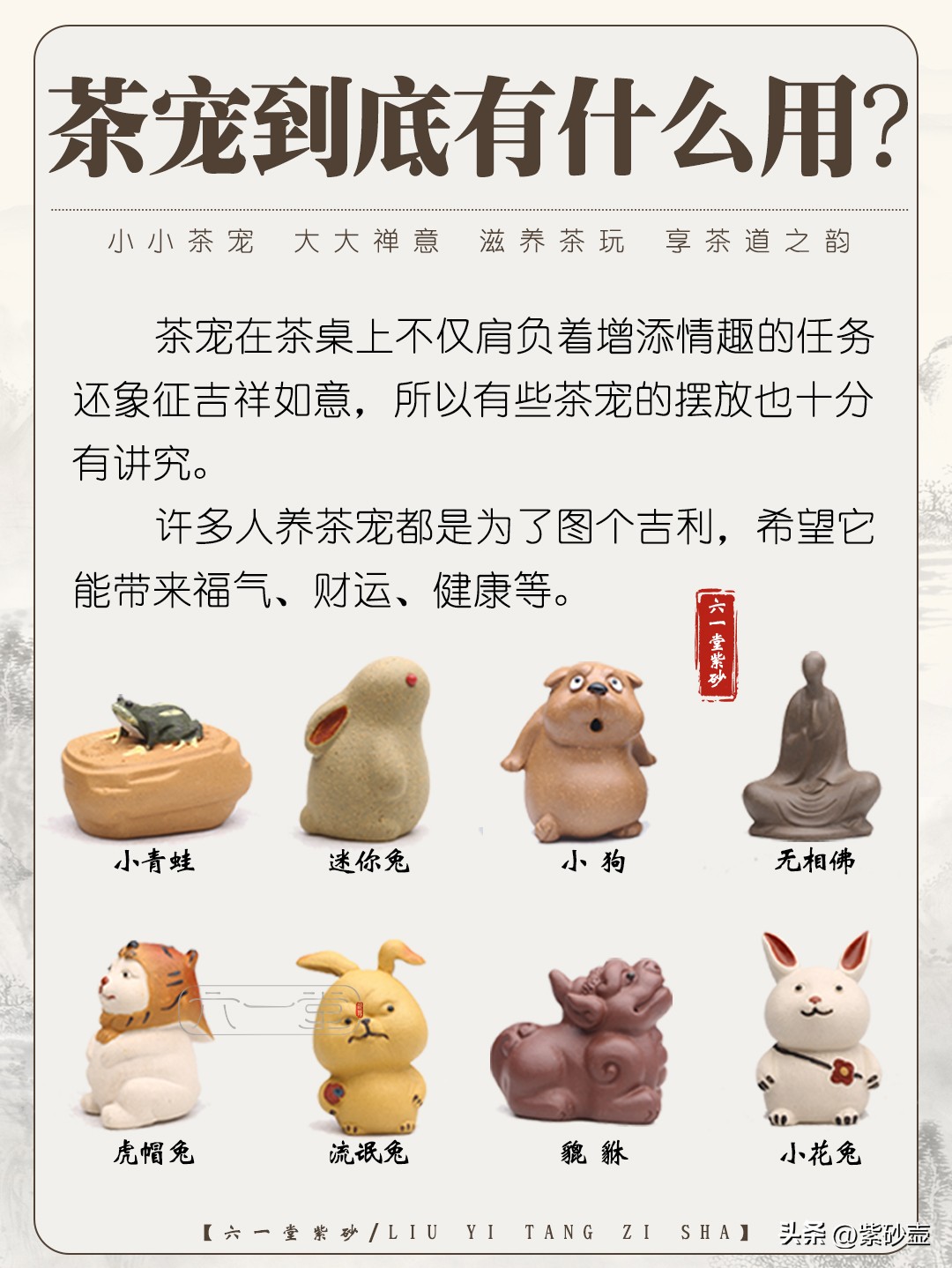 What is the use of tea pets, come in and see! - iMedia