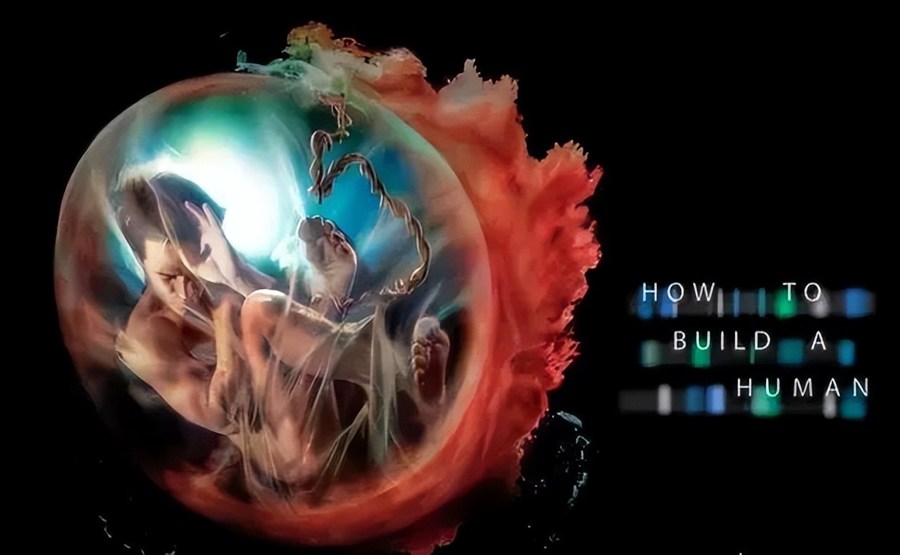 Both human beings and stones are composed of atoms, why do human beings ...