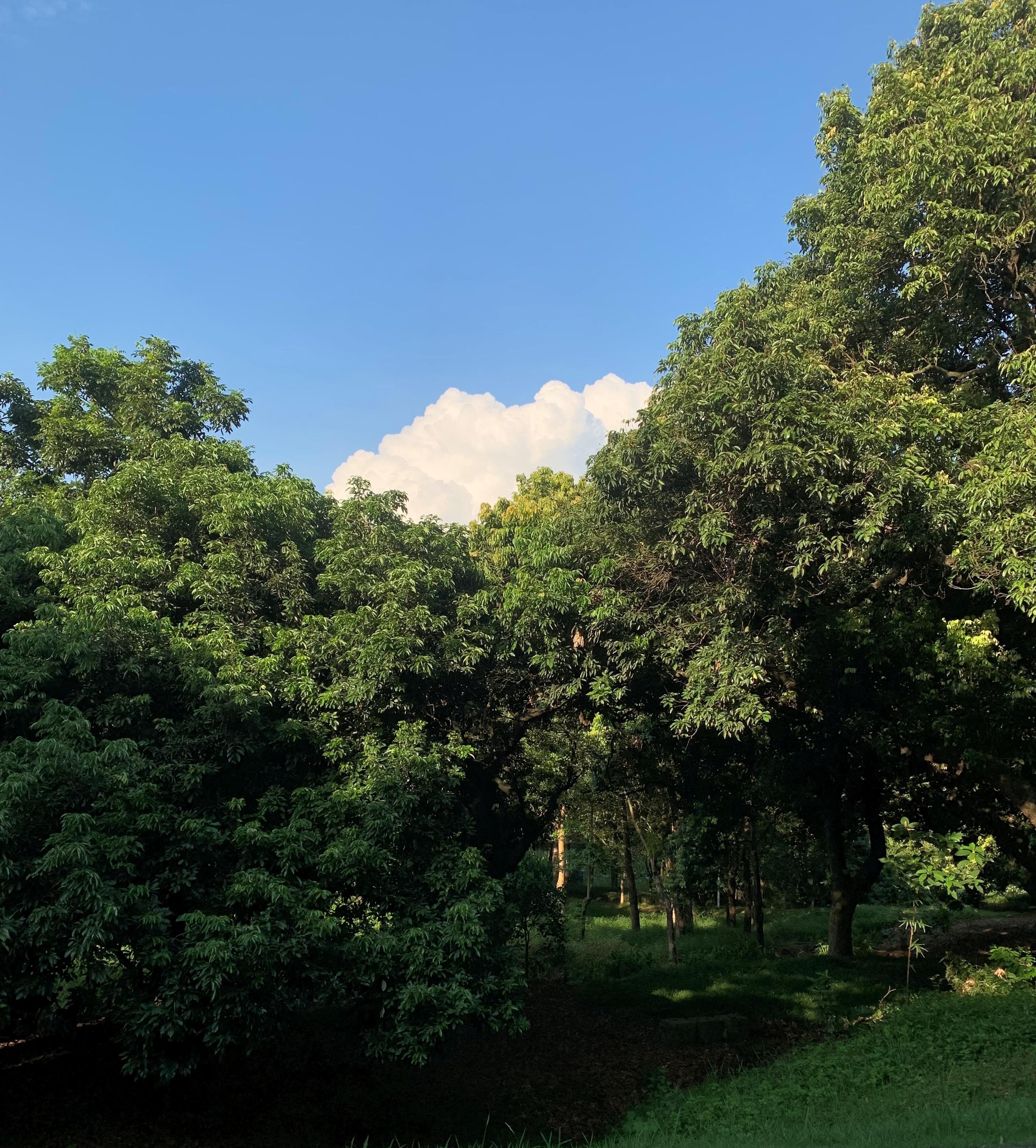 Do not tell the vicissitudes of life: Ye Fu is angry at the injustice ...